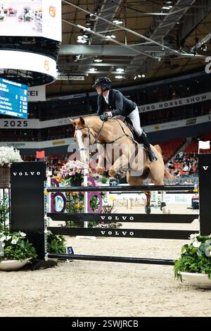 Kevin Staut of France with Queen's Balou B during the Stal van der Haar ...