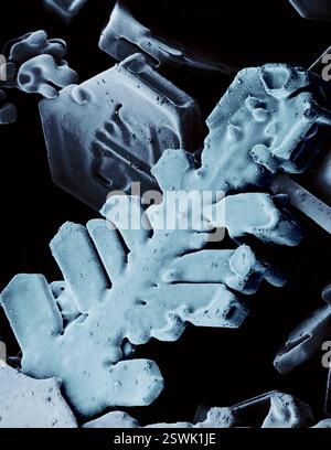 Scanning electron micrograph (SEM) of a snow crystal. Image was ...