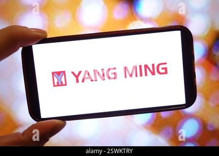 In this photo illustration, the Yang Ming company logo is seen ...