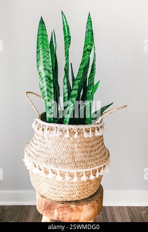 Woven basket and plant on wooden table in bright room Stock Photo - Alamy