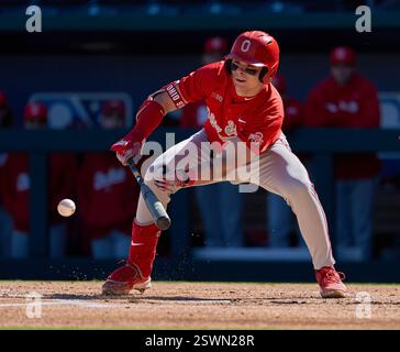 Ohio State Buckeyes catcher Mason Eckelman (16) during an NCAA baseball ...