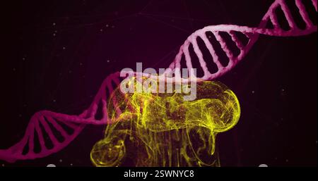 Image of dna strand over yellow stars moving Stock Photo - Alamy
