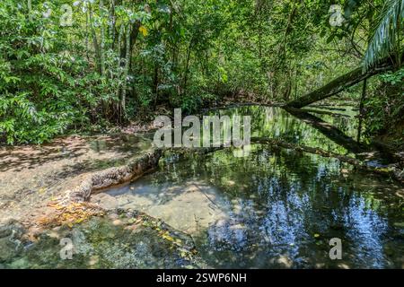 Stream, Boca da Onca waterfalls, Saloba river canyon, Mato Grosso do ...