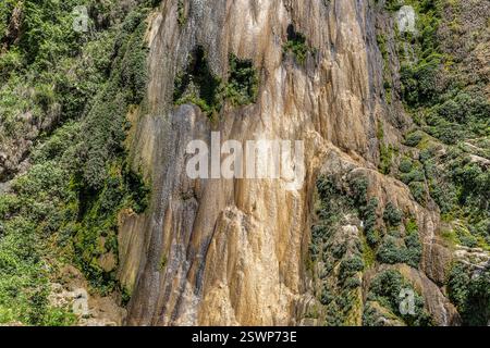 Forest, Boca da Onca waterfalls, Saloba river canyon, Mato Grosso do ...