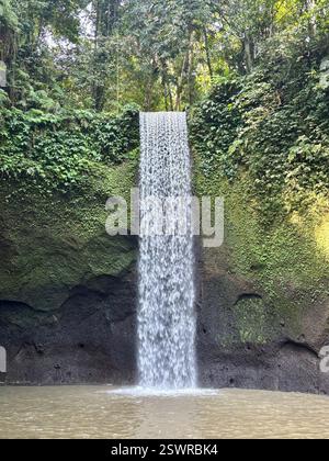 Hidden Waterfall Near Ubud, Bali – A Tropical Jungle Escape Stock Photo ...