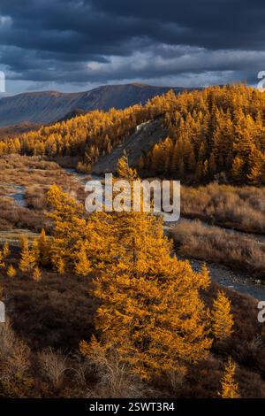 View of the sky and the surrounding trees Stock Photo - Alamy