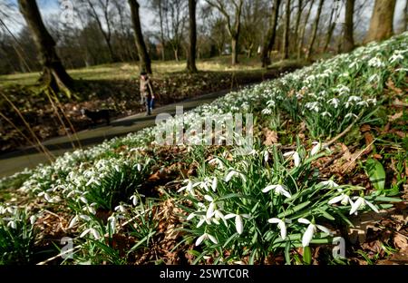 Bolton, Lancashire, UK, 22nd February, 2025. A beautiful sunny morning ...