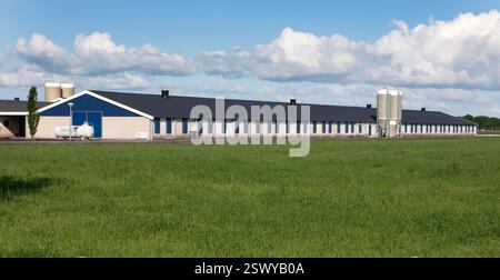 Modern chicken stable in landscape. Modern farming Stock Photo - Alamy