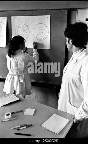Math class at primary school, Buenos Aires, Argentina, April 16, 1968 ...