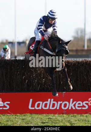 Katate Dori ridden by Charlie Deutsch on their way to winning the Ladbrokes Trophy Handicap ...