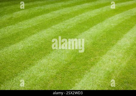 Freshly mown green striped lawn with a fence on the side Stock Photo ...