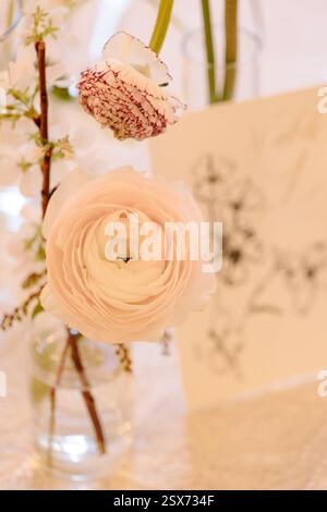 Simple table setting and ranunculus flowers on color background Stock ...
