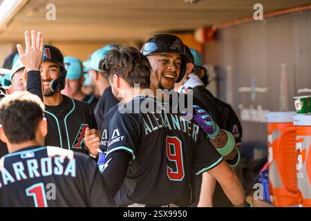 Arizona Diamondbacks' Blaze Alexander celebrates his solo home run in ...