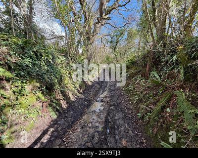 Hell Lane, Symondsbury, Dorset: Climbing from North Chideock on Bright ...