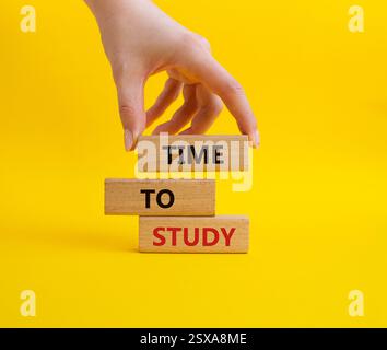 Book with wooden blocks with word exam. Preparation for examination ...