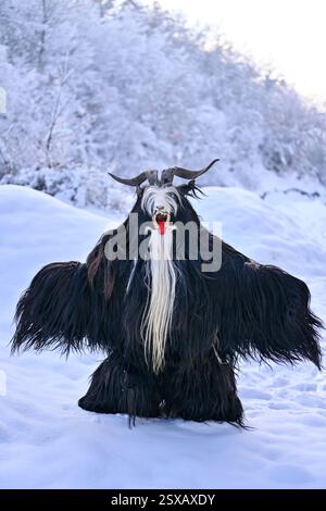 Kukeri performers clad in thick goat fur costumes and elaborate masks ...