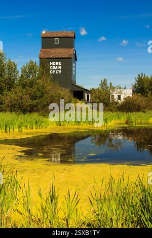 Large grain silo with the words "Home Grain" on it. The silo is ...