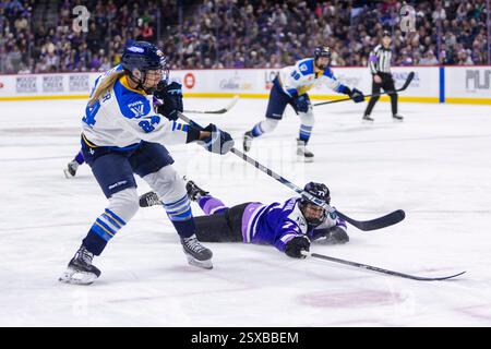 Toronto Sceptres' Natalie Spooner (24) celebrates scoring against the ...