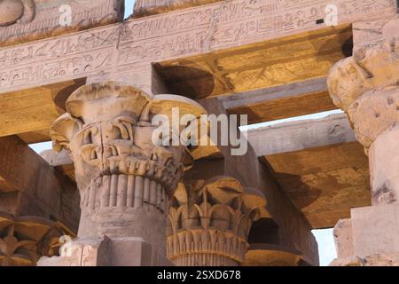 Open bud papyrus column carved with detailed reliefs at the Hypostyle ...