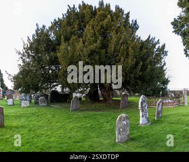 St Andrew's church, Awre stands on the highest ground of the Awre ...