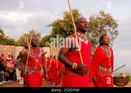 Traditional Masai tribesmen perform a ritual dance in Kenya Stock Photo ...