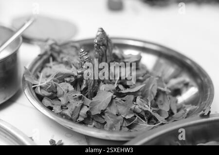 Indian Hindu Traditional Pooja Its Call Satya Narayan Pooja Photography ...