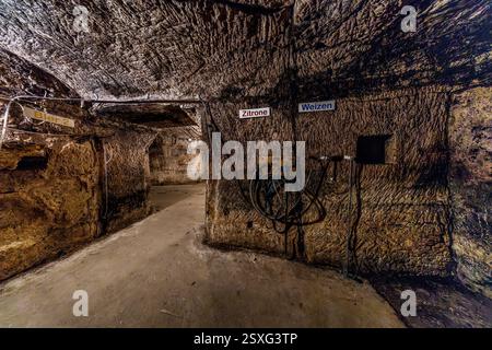 Underground beer cellars in Germany show signs for different beer types ...