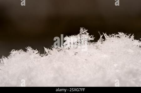 A macro photograph of snow at 1x magnification, focus stacked to reveal ...