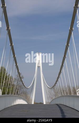 Aerial view of the bridge over the Drava River on Corridor 5c in ...