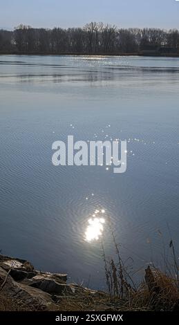 riverside forest near the danube river in austria in the evening Stock ...