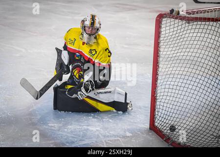 Billingham, National Ice Hockey League (N) Moralee Cup final 2ng Leg ...