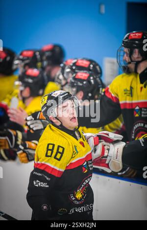 Billingham, National Ice Hockey League (N) Moralee Cup final 2ng Leg ...