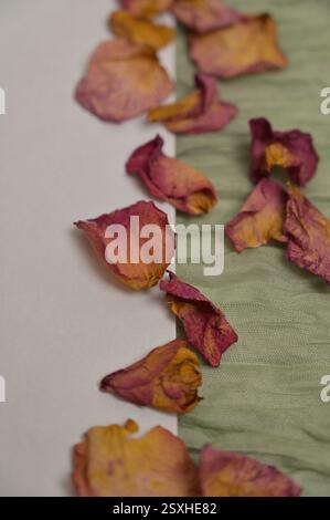 Dry rose petals and leaves. Abstract composition of love Stock Photo ...