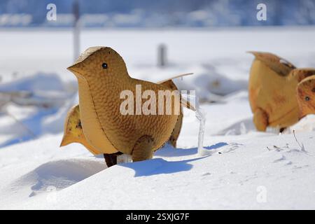 Metal yellow birds too frozen to fly south for winter Stock Photo - Alamy