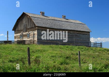 A wooden barn on the hill surrounded by fir forest. Old cottage on the ...