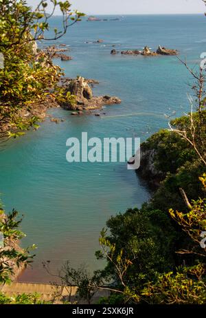 Photo shows the dolphin hunts that take place in Taiji Town, Wakayama ...