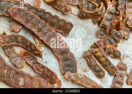 Close up Acacia concinna, traditional herb in Thailand Stock Photo - Alamy