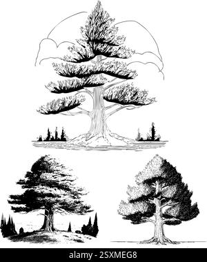 High detail tree sketch hand drawing on white background Stock Vector ...