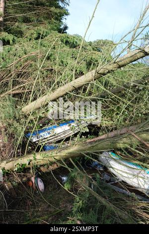 Storm Eowyn small boats damaged by fallen trees in the boatyard at ...
