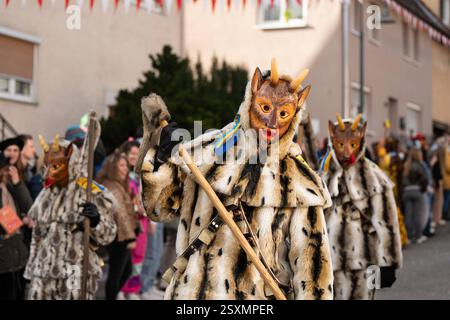 Die Gais des Narrenverein Honberger nimmt beim Fastnachtsumzug in ...