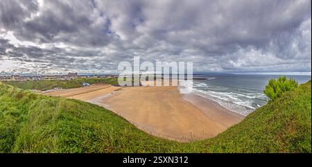 view of the cliffs and wild shoreline at Ballybunion in County Kerry ...
