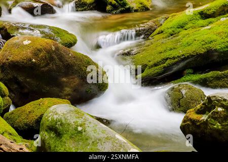 spring water that flows between the rocks of the European Alps during ...