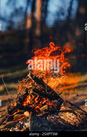 Firelight in autumn Stock Photo - Alamy
