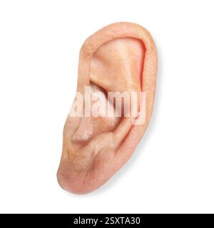 Ear Hear Problem. Human Audiology Close Up Stock Photo - Alamy
