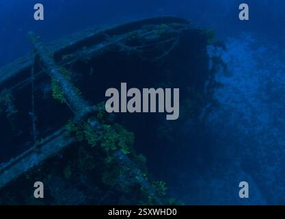 The Wreck of the Brioni, near Vis Island, Adriatic sea, Croatia (60m ...