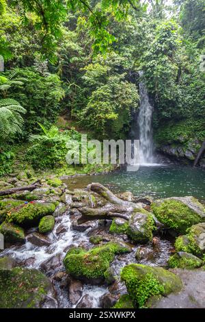 Malabsay Falls surrounded by tropical rainforest on Mt Isarog Bicol ...