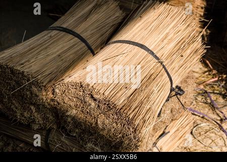Stacked bundles of split thin bamboo sticks for the later production of ...