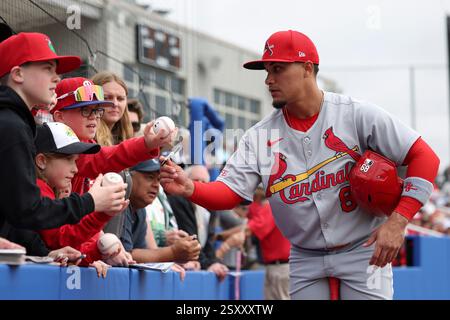 St. Louis Cardinals' Bryan Torres lines out during the fifth inning of ...