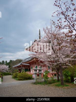 View of the temple complex of Tsubosaka- Dera, a temple with a giant ...