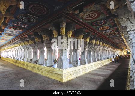 Ramanathaswamy Temple passage ceiling Rameswaram Rameshvaram Tamil Nadu ...